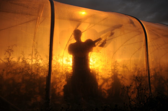 photos – Robin Grey